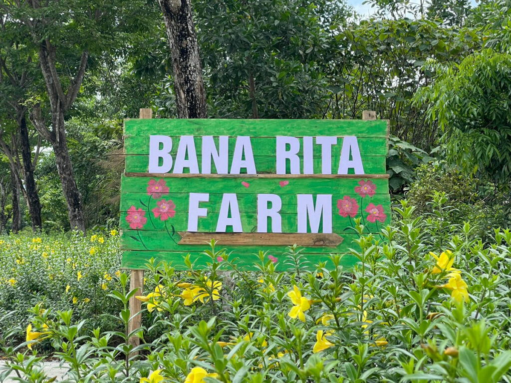 Bana Rita Farm | Chill & Cheer | Nơi trải nghiệm & tình thân